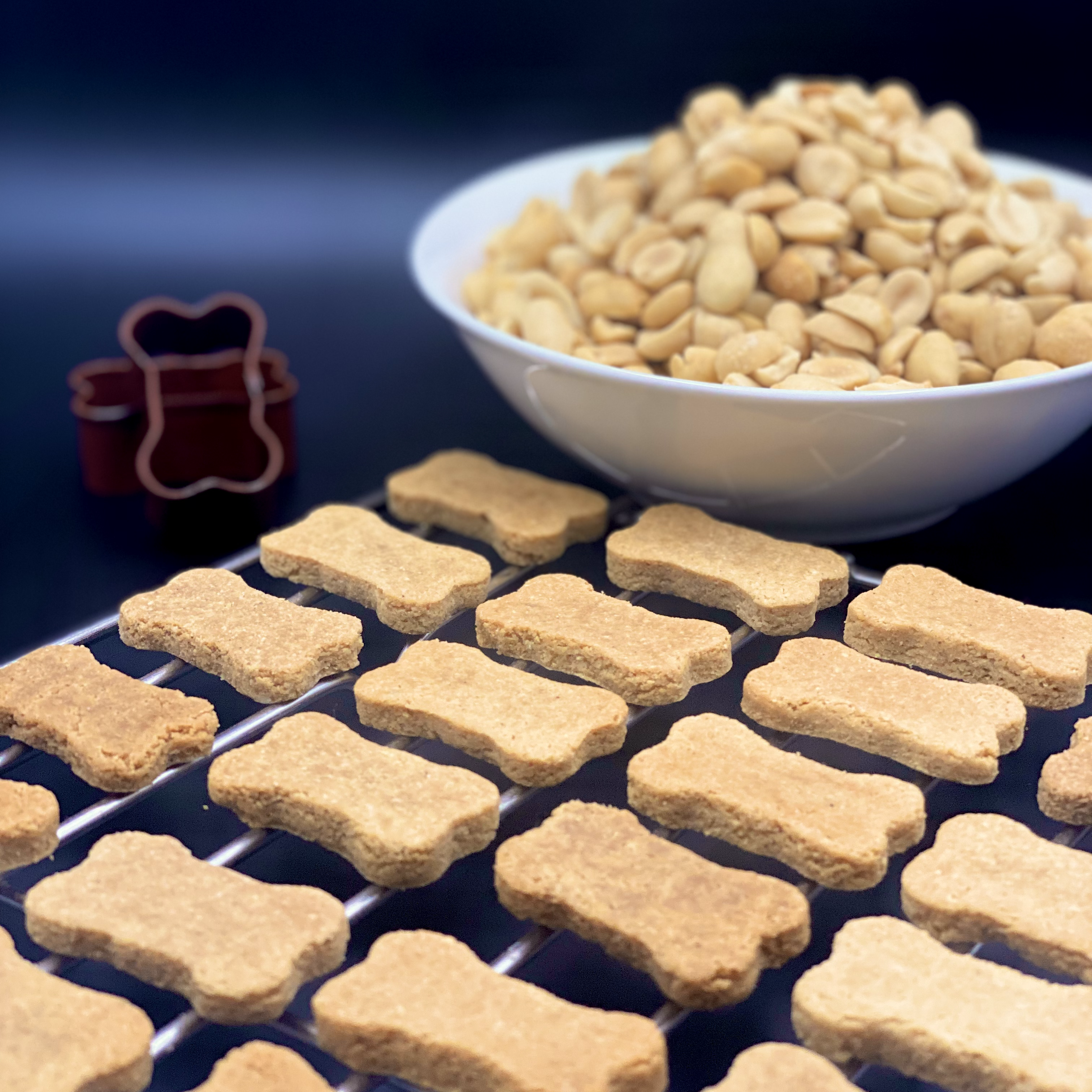 Dog Biscuits – Boofhead Bites